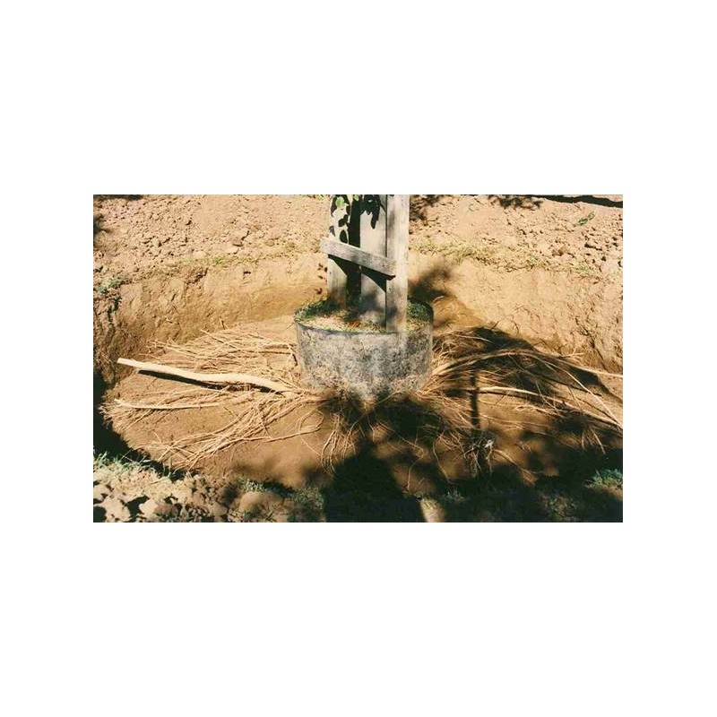 Panneau guide racine Tree Root Guide - Jardiprotec