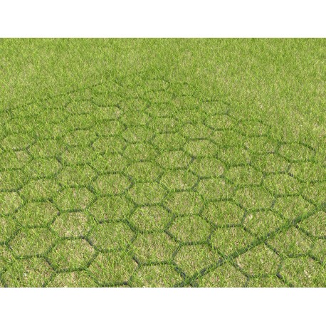 Dalle à gazon à engazonner pour parking ou allées 60x38cm - Jardiprotec