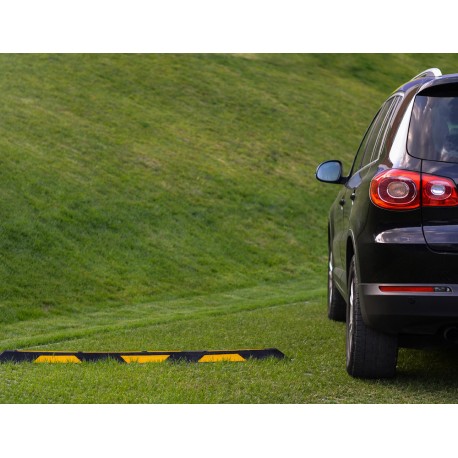 Dalle à gazon à engazonner pour parking ou allées 60x38cm - Jardiprotec