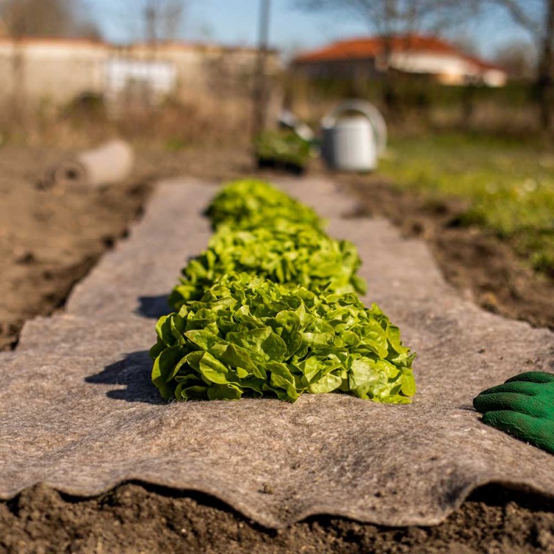 Rouleau de paillage 50% cheveux et 50% laine pour jardin -capillum ...