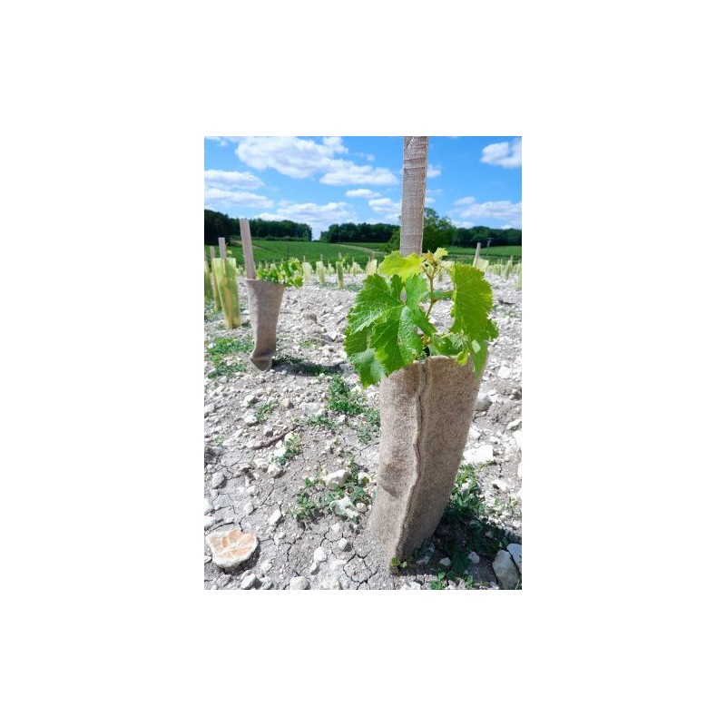Manchon de protection écologique en laine de mouton biodégradable ...